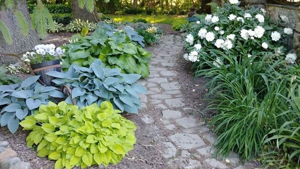 'My Hosta Garden' this week's Homestyle photo contest winner