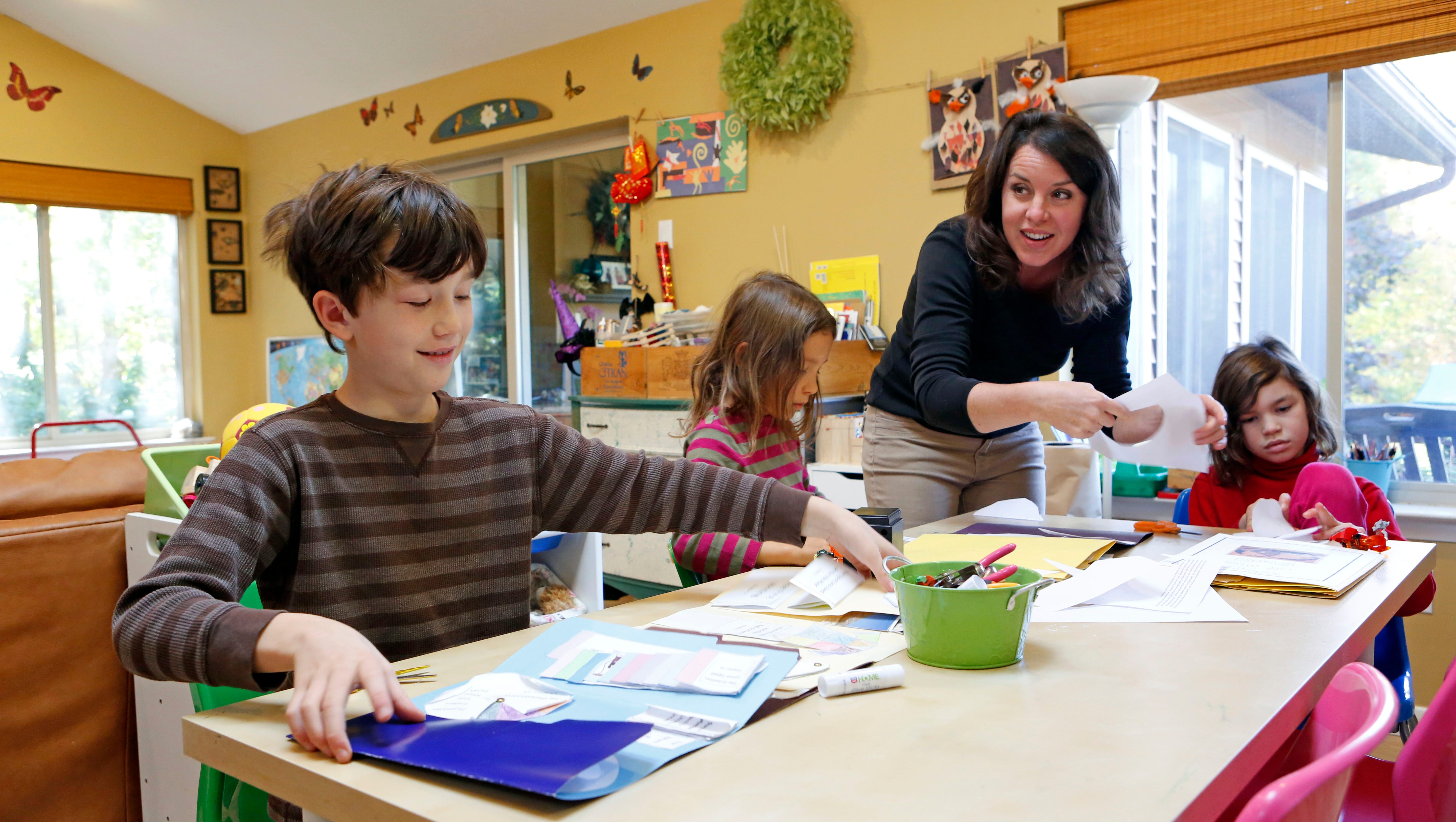 Home-schooling parents are not required to align their curriculum to ...