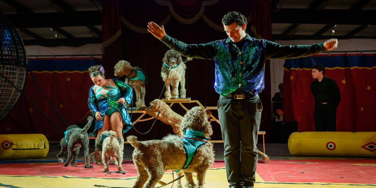 Great Benjamins Circus coming to Las Cruces, Alamogordo, Deming