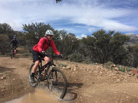 Peavine has some of Reno's great mountain biking trails