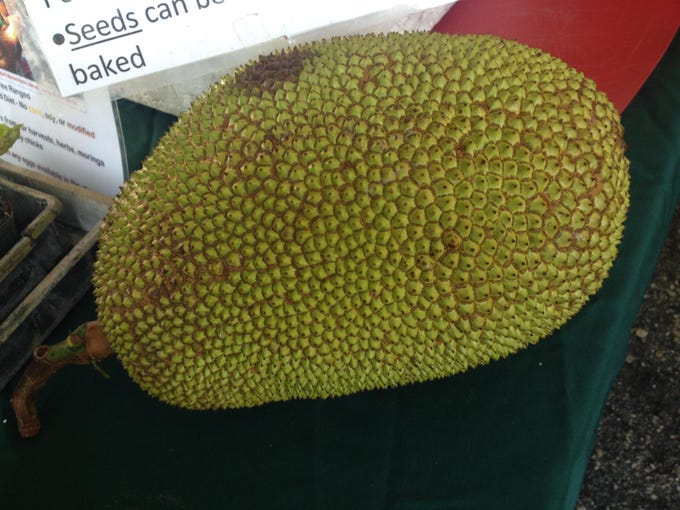 Jackfruit recipes: Best tips on buying, handling, eating, cooking it