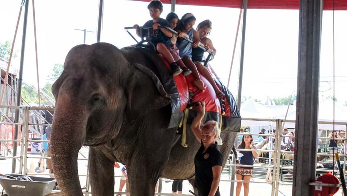 2015 Michigan State Fair at the Suburban Collection Showplace in Novi