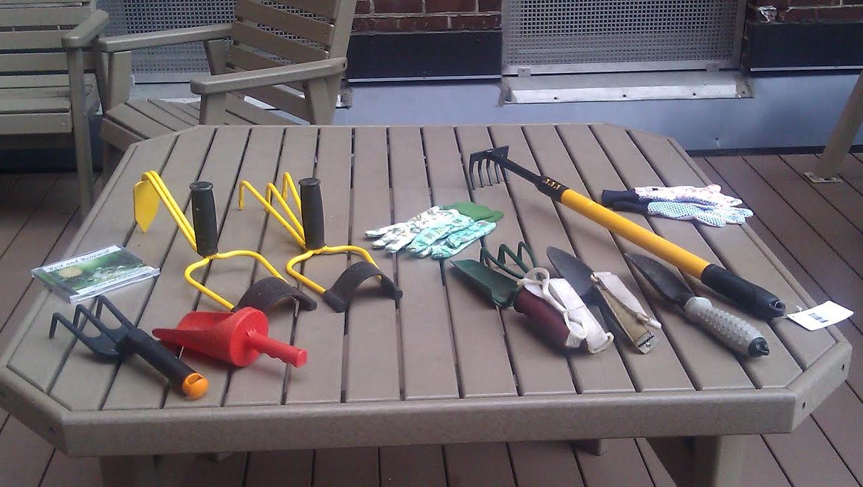 The season to assess your gardening challenges