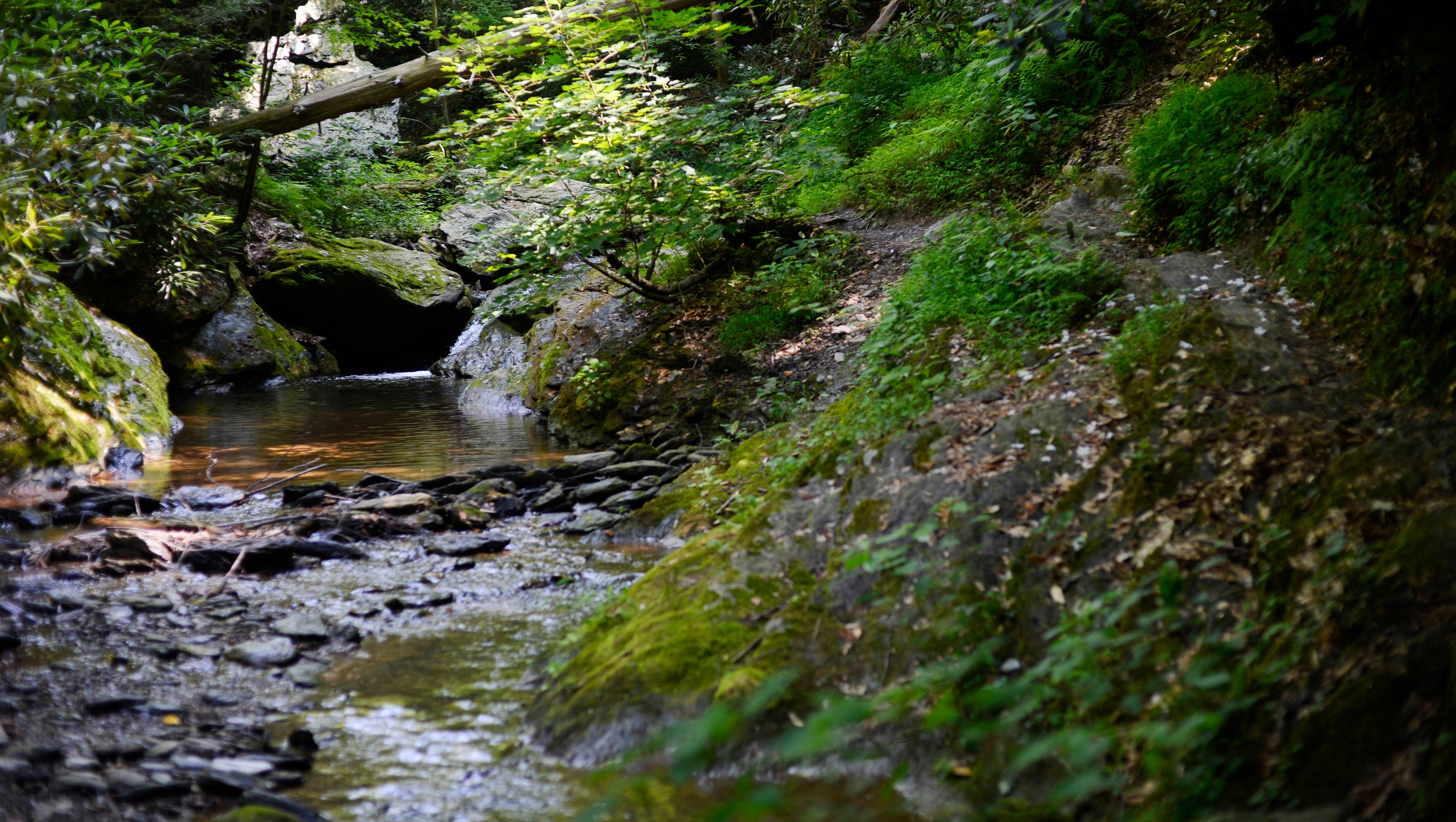 Hike Kelly's Run, a reopened oasis