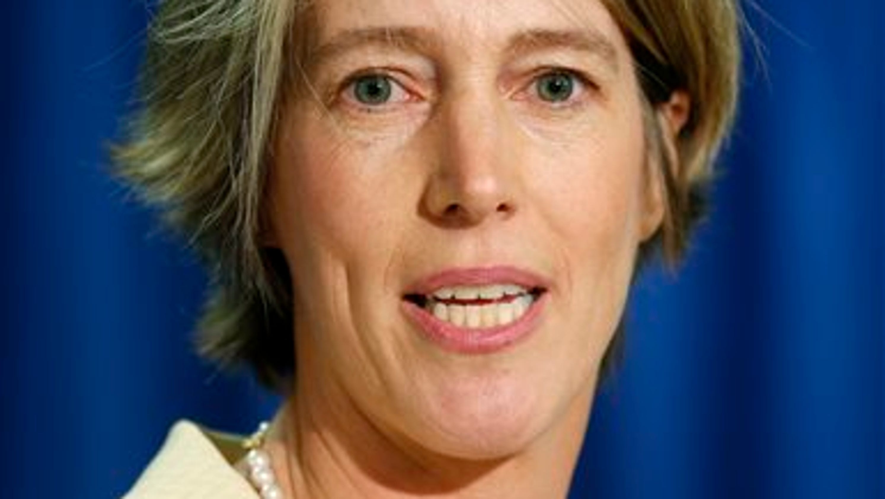 Zephyr Teachout looks for 'opening' against Cuomo