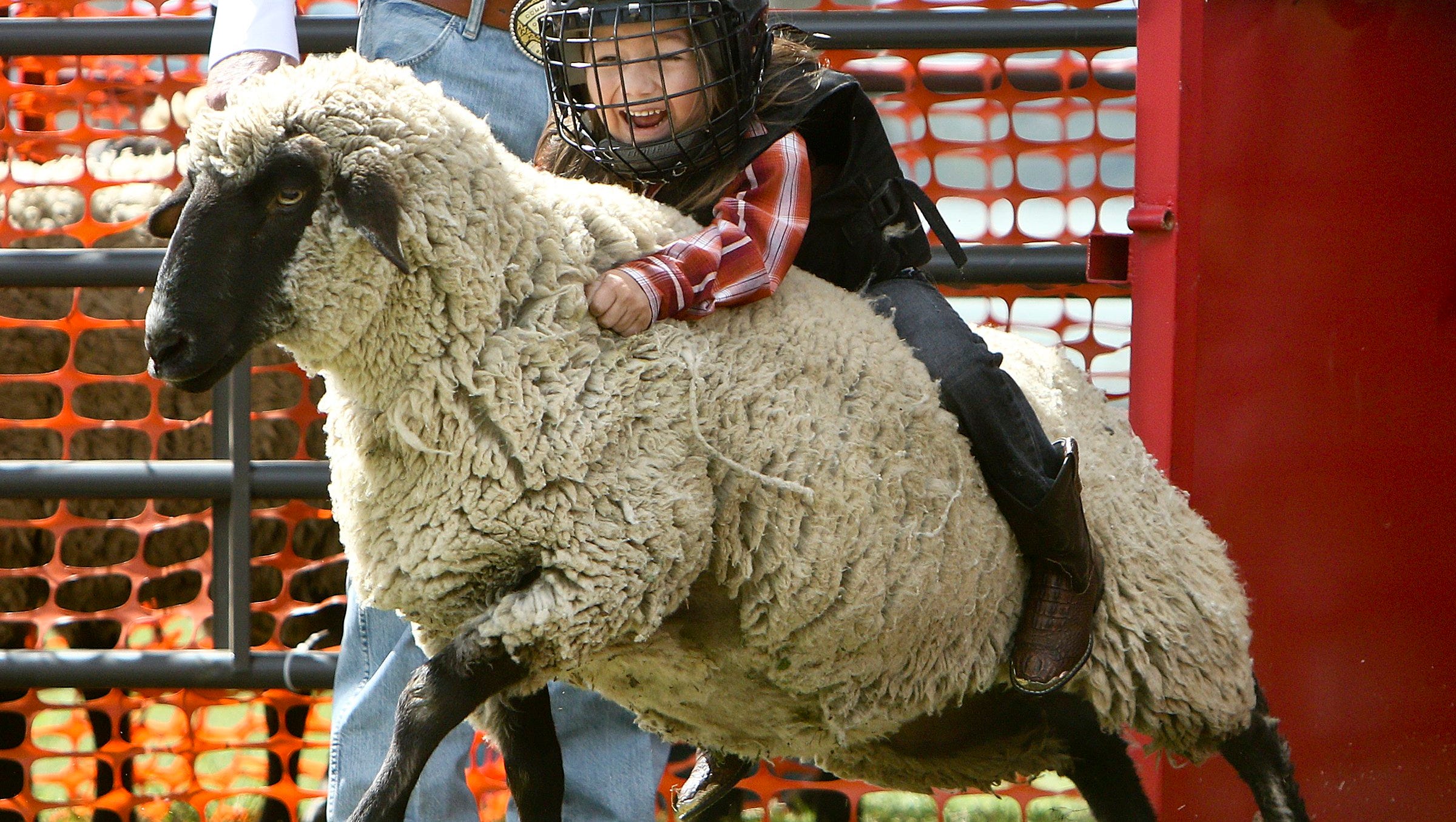 Buc Days 2019: Here's your guide to Rodeo Corpus Christi