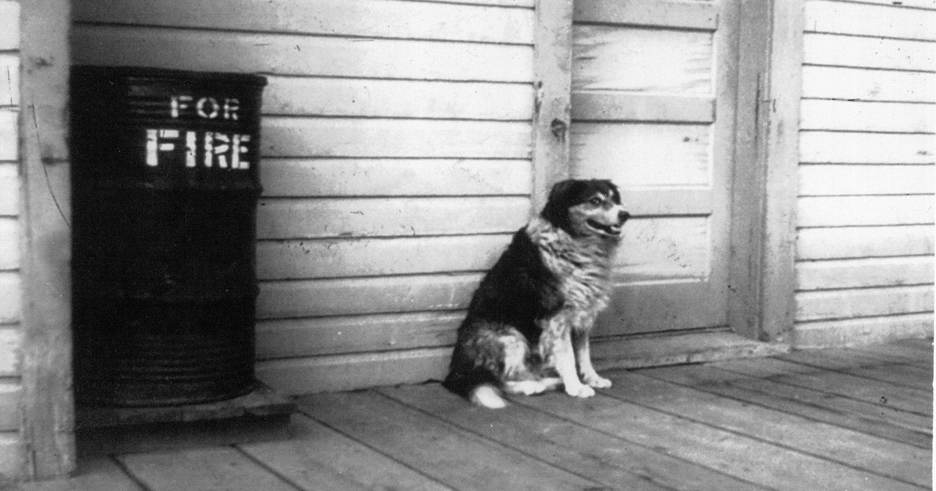 75 years of honoring Shep’s story