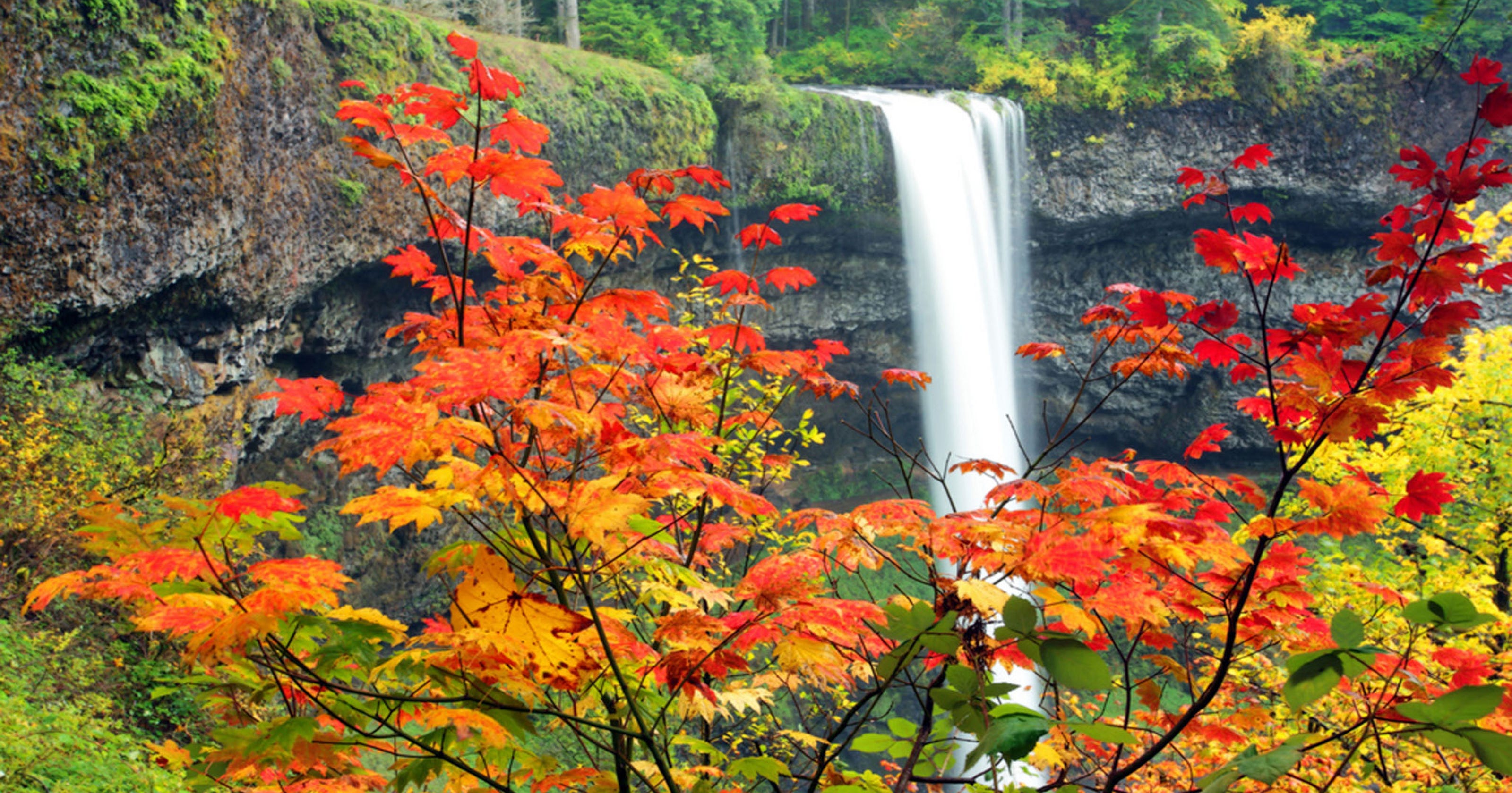 Incredible fall foliage hikes