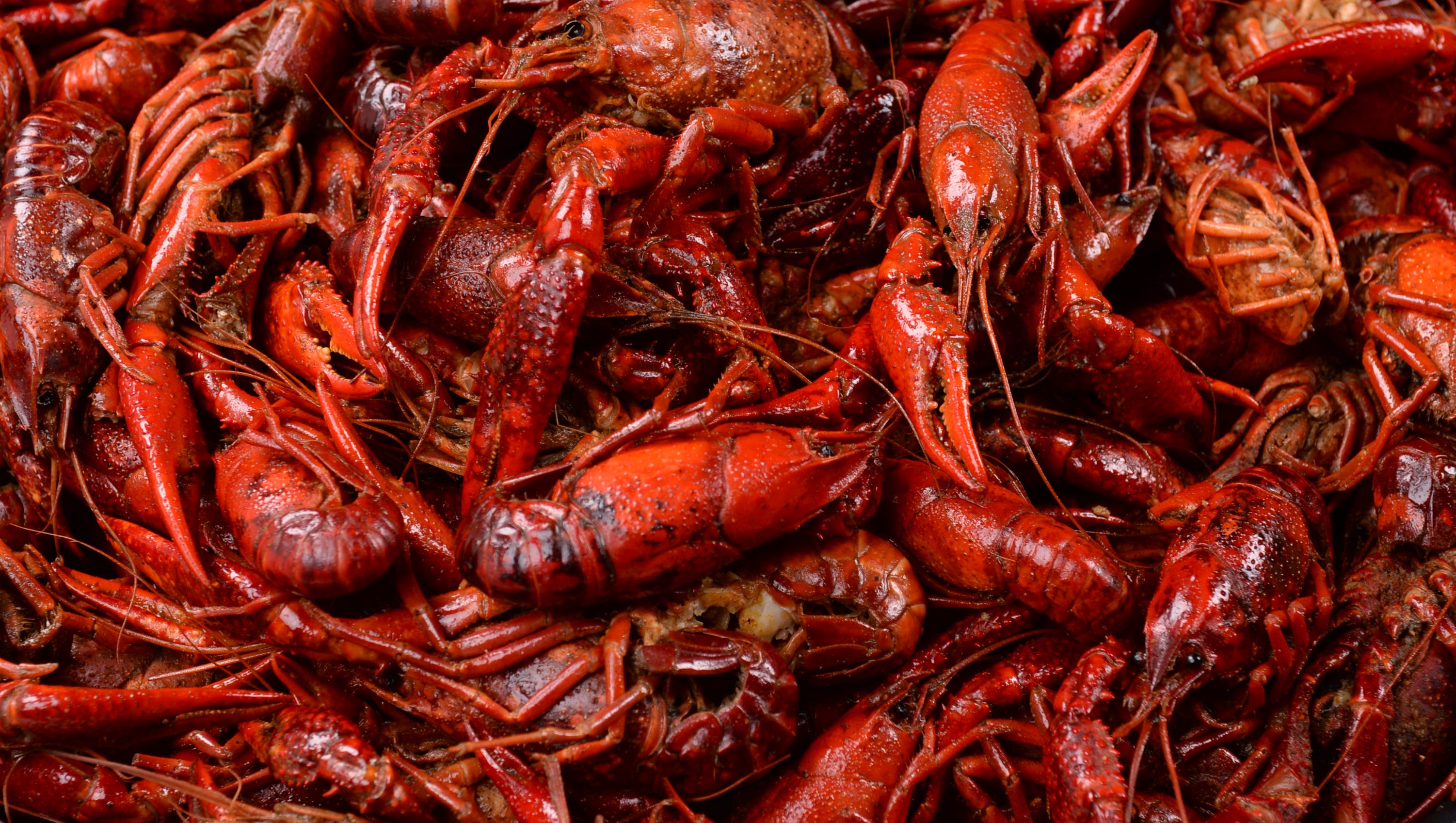 How this year's Mudbug Madness will be different from the last
