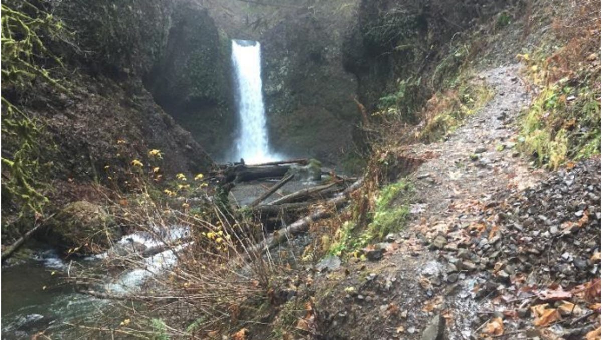 Larch Mountain Trail (above Multnomah Falls) fire damage