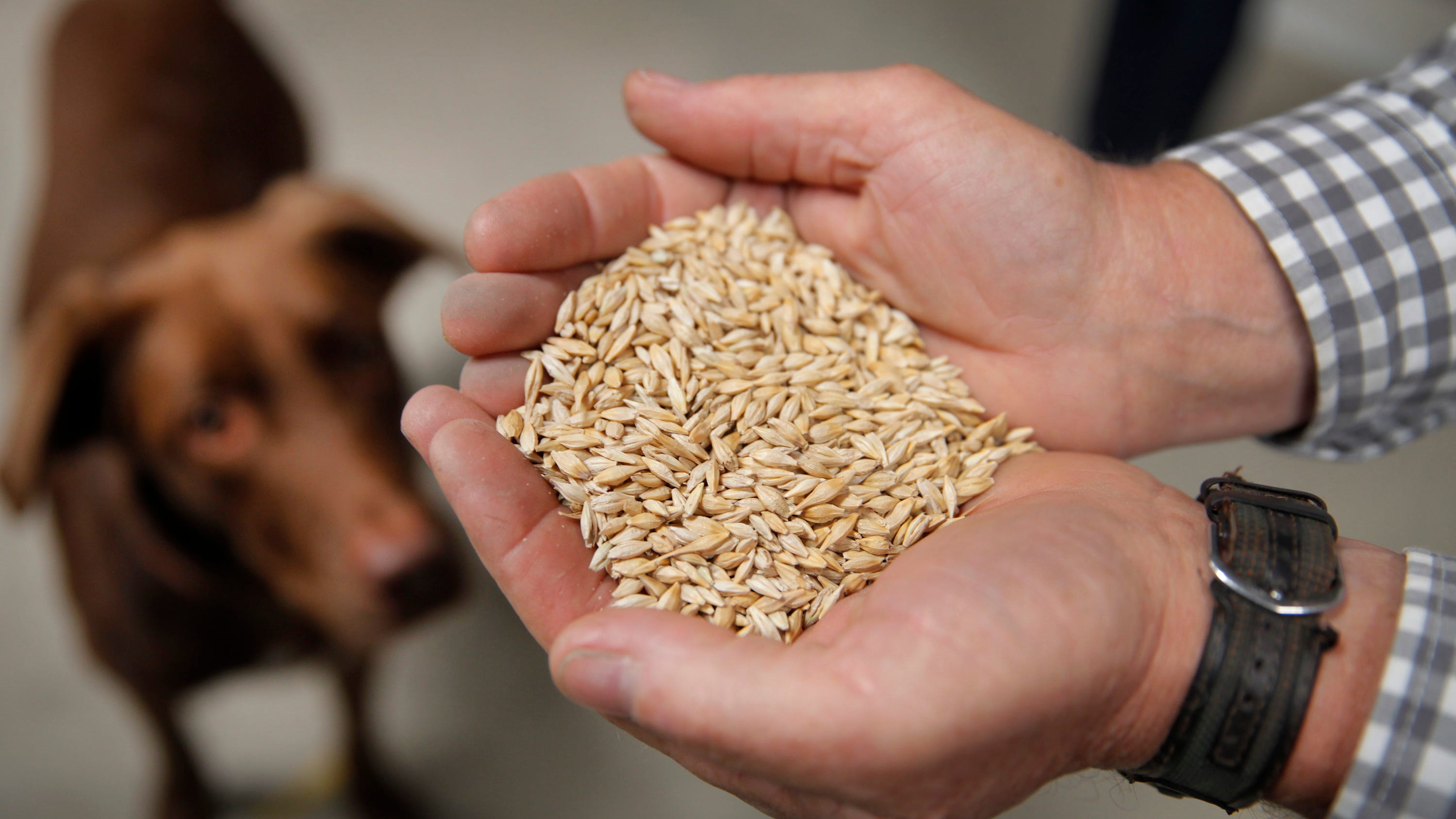 Malt houses key to truly New York beer