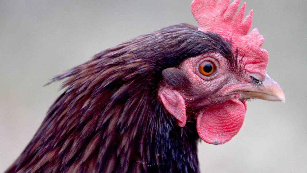 Cropsey Farm in New City added to historic register