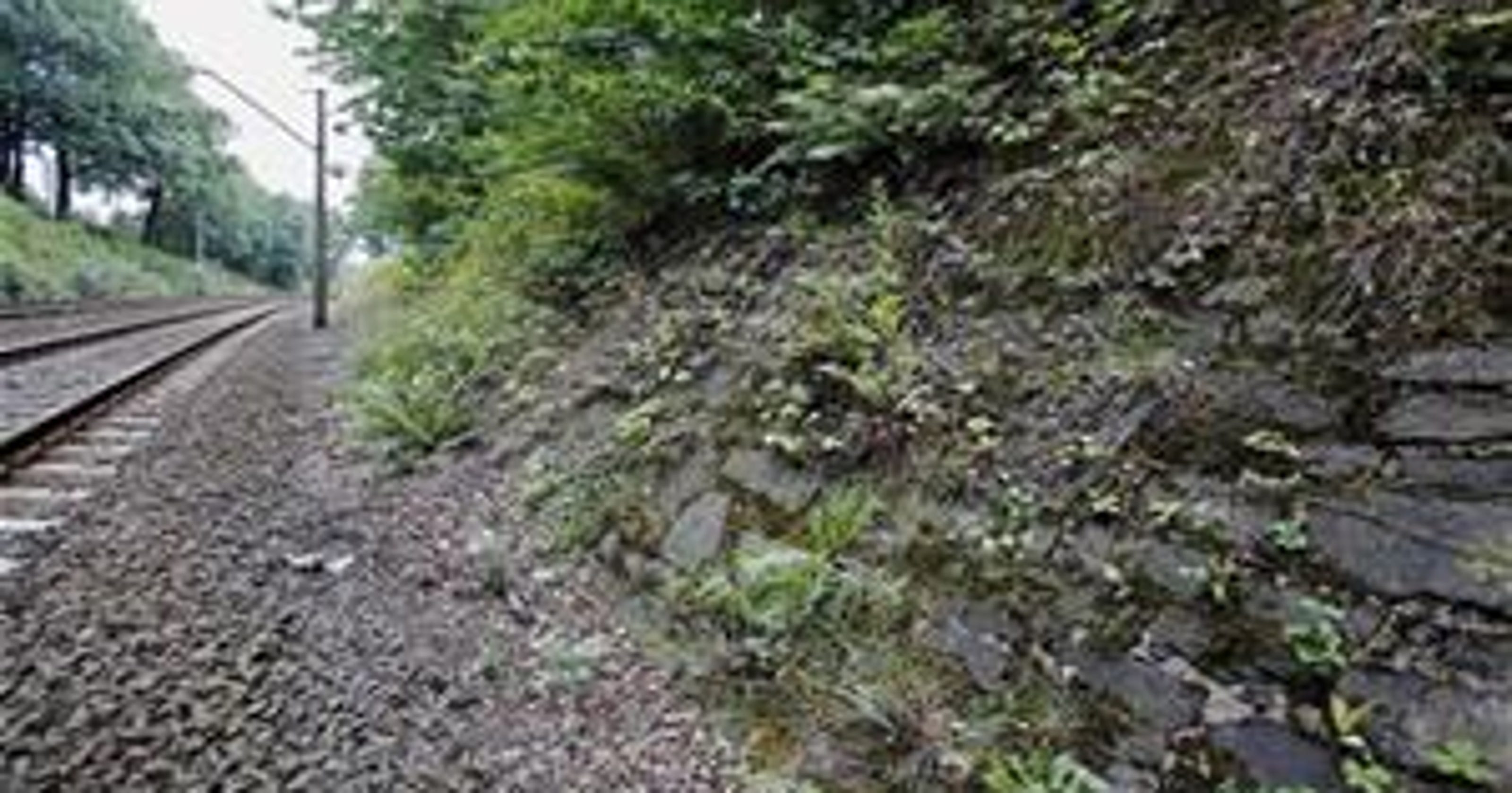 'Deathbed' map led to site of possible Nazi gold train