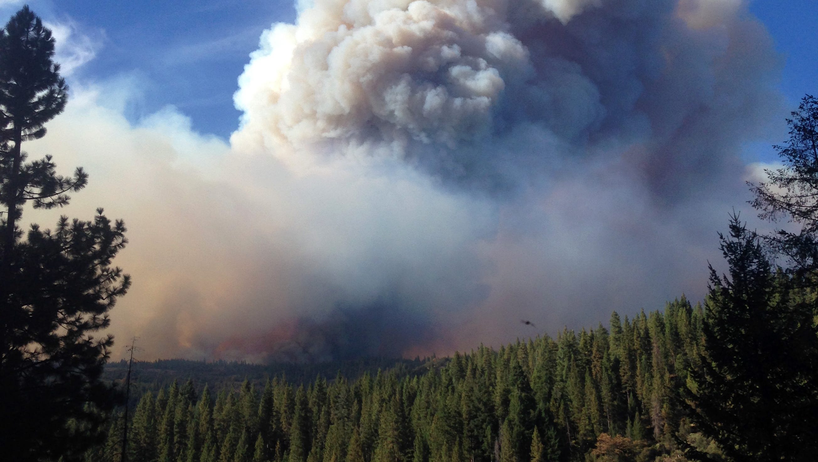 'We had 3 minutes to save their lives'