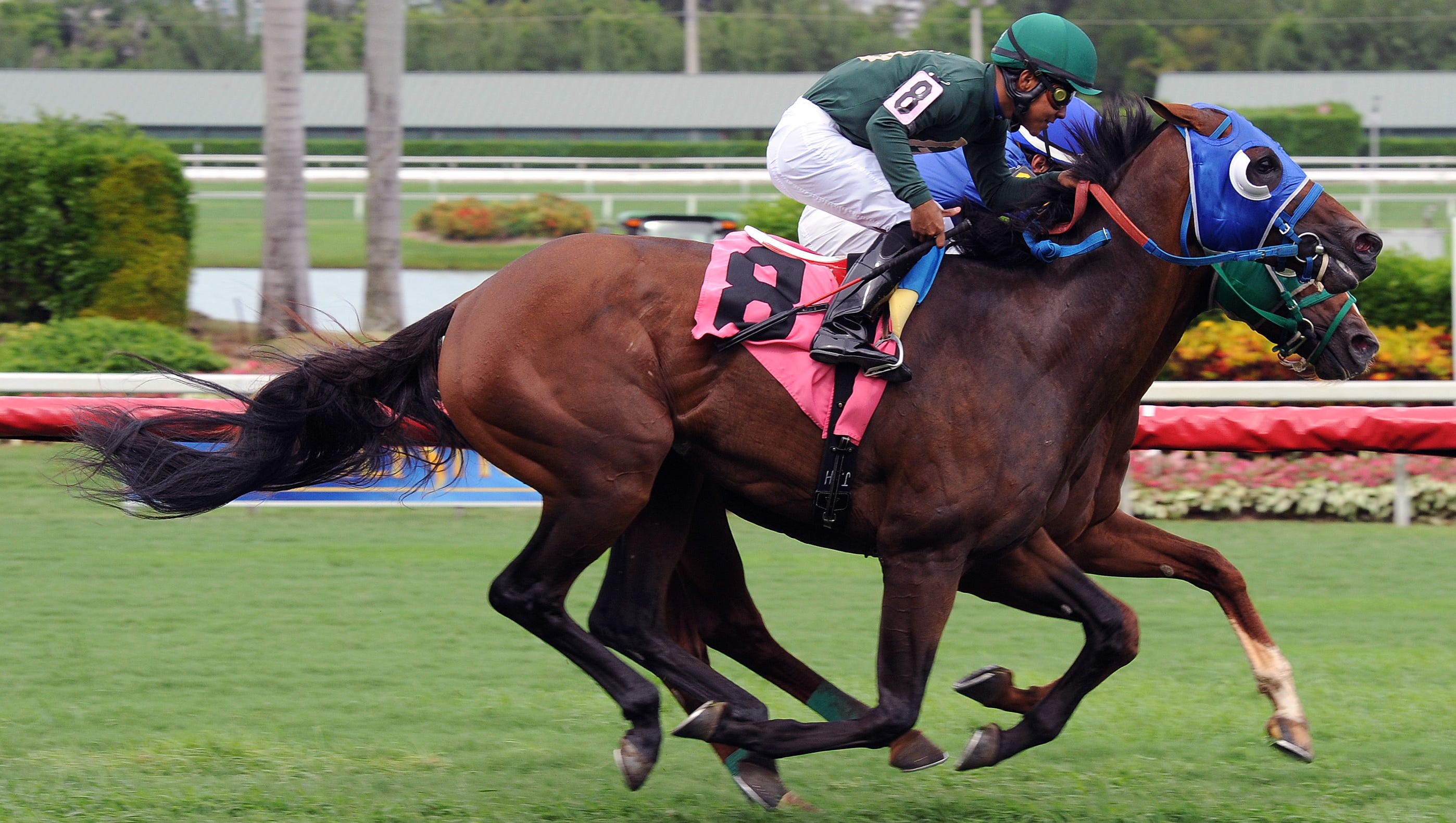 Fox Sports 1 adds horse-racing to programming