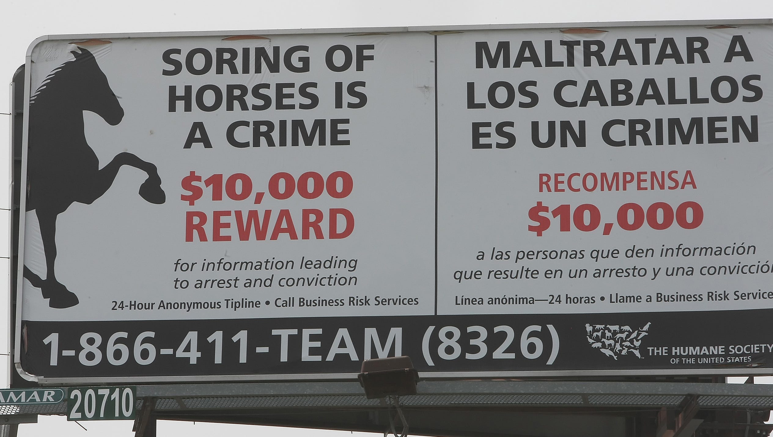 2 bills aim to rein in Tennessee walking horse abuse