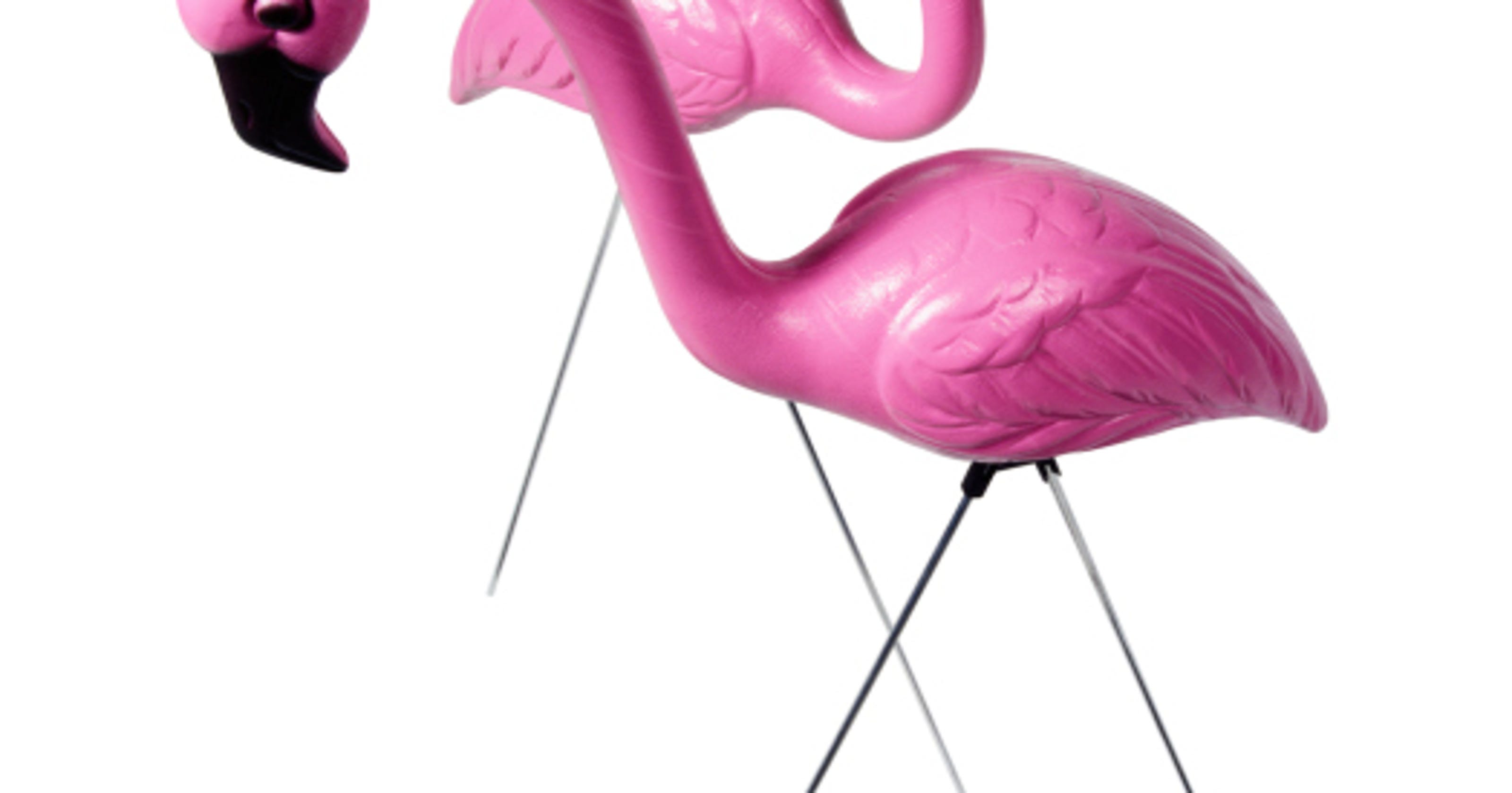 Flamingo flocking a skating fundraiser