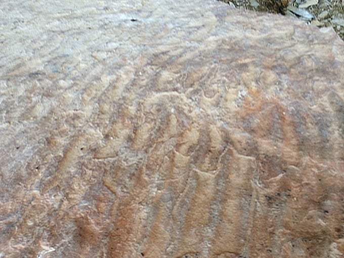 7 reasons to love the Grand Canyon’s North Rim