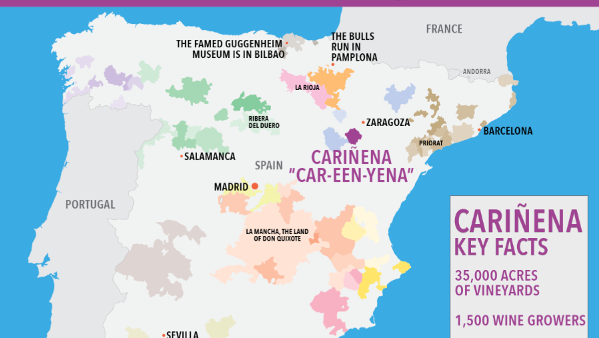 Explore Spain's Cariñena wine region