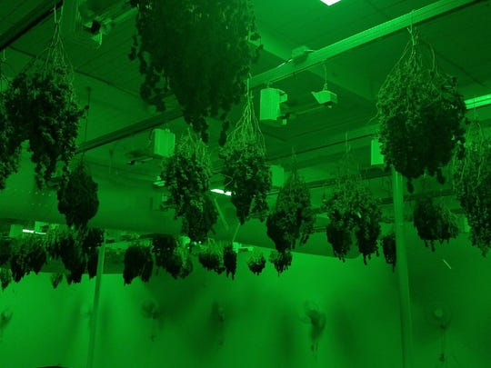 6 arrested in million-dollar marijuana bust in Detroit