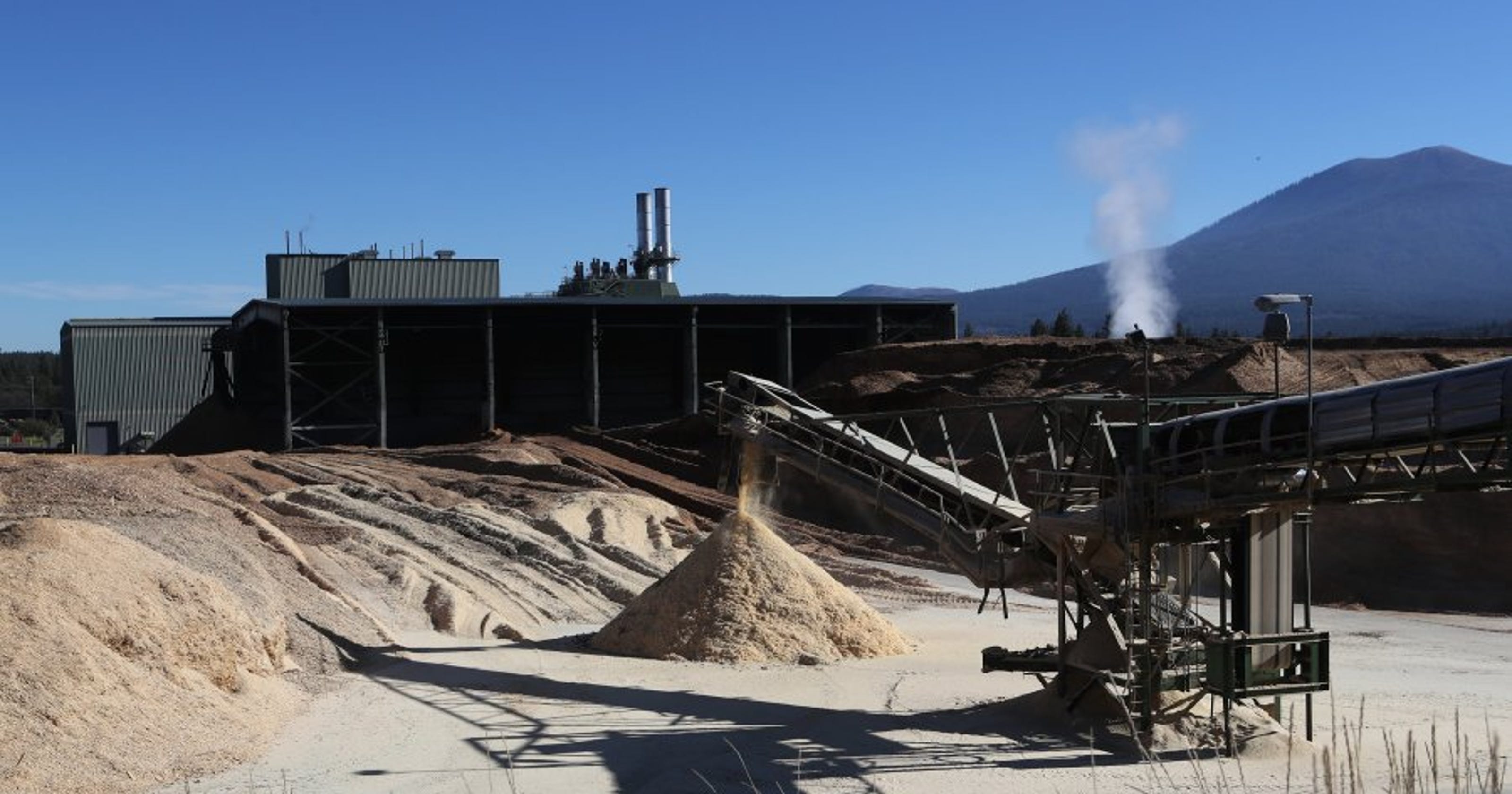 Burney biomass plant, sawmill get five-year reprieve