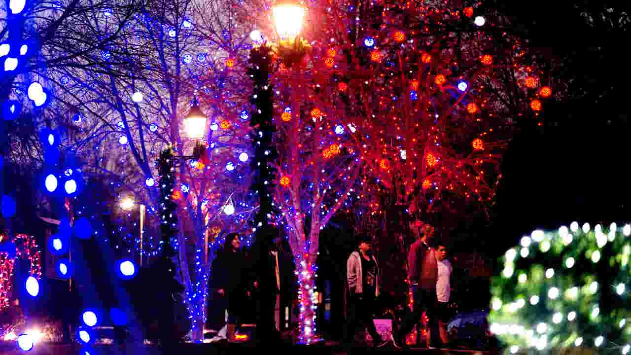 Christmas lights illuminate Founders Park Christmas lights illuminate Founders Park