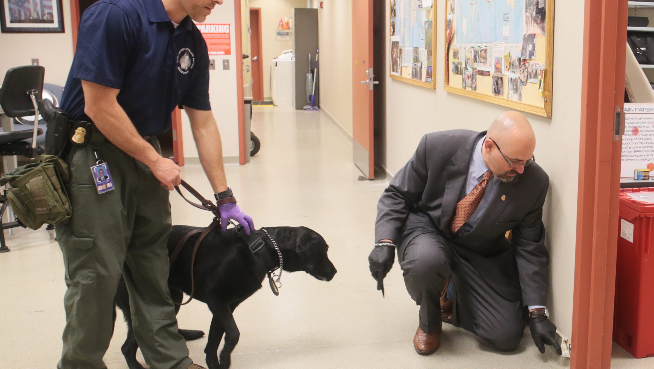 WATCH: Meet Iris the FBI dog