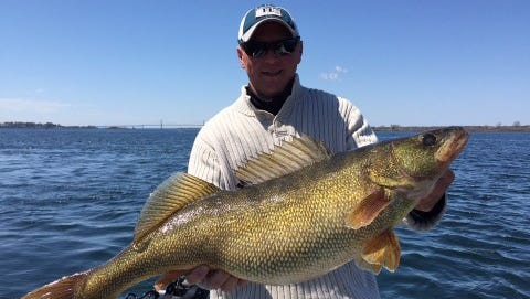 These 5 Wisconsin waters have best chance to produce a state record walleye