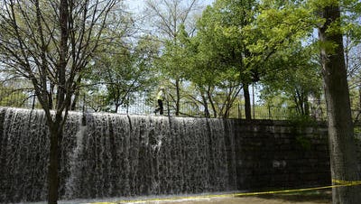 Group seeks to upgrade, restore Tyler Park