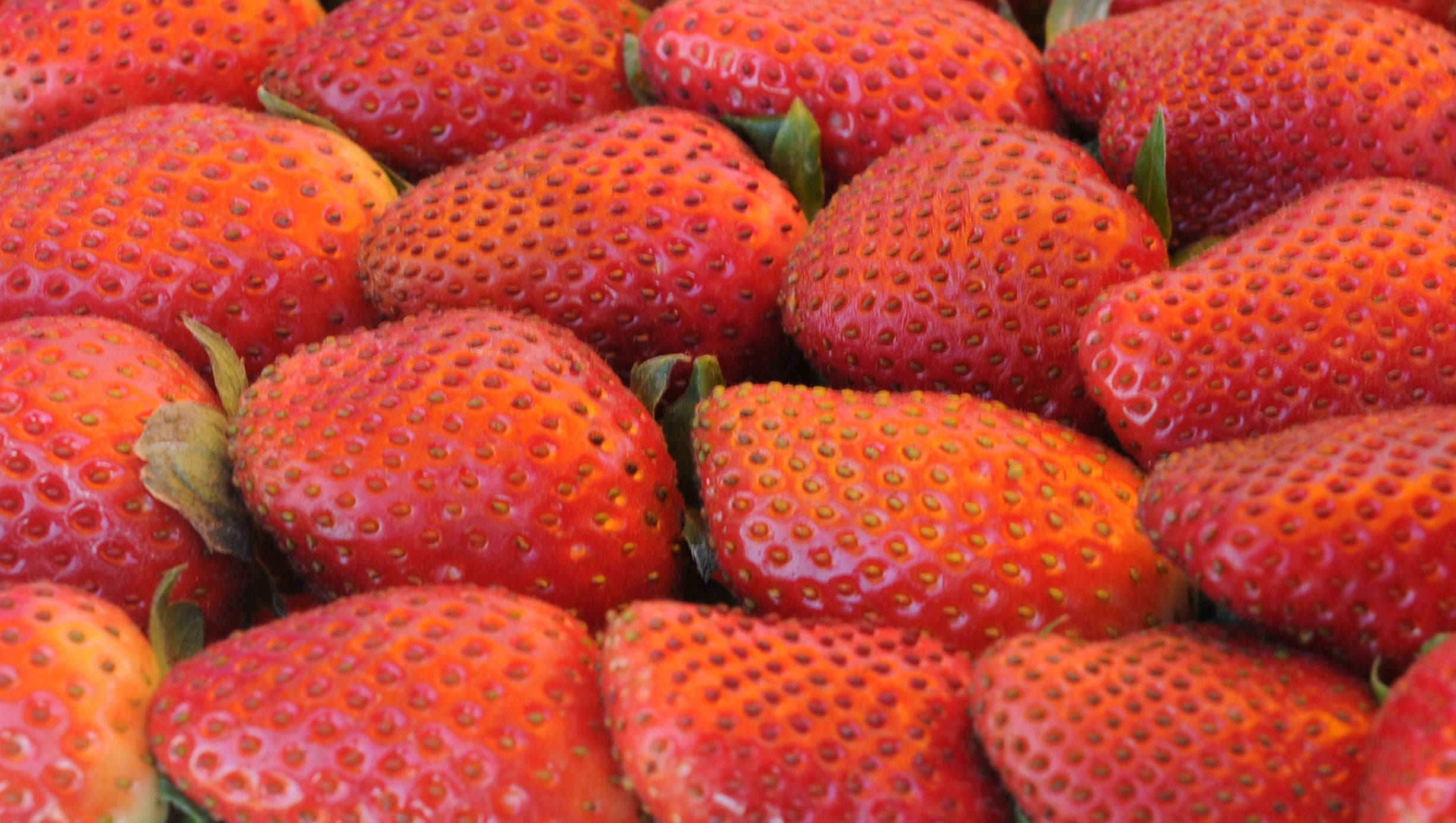 Dole to lay off Oxnard workforce and close local berry growing operation