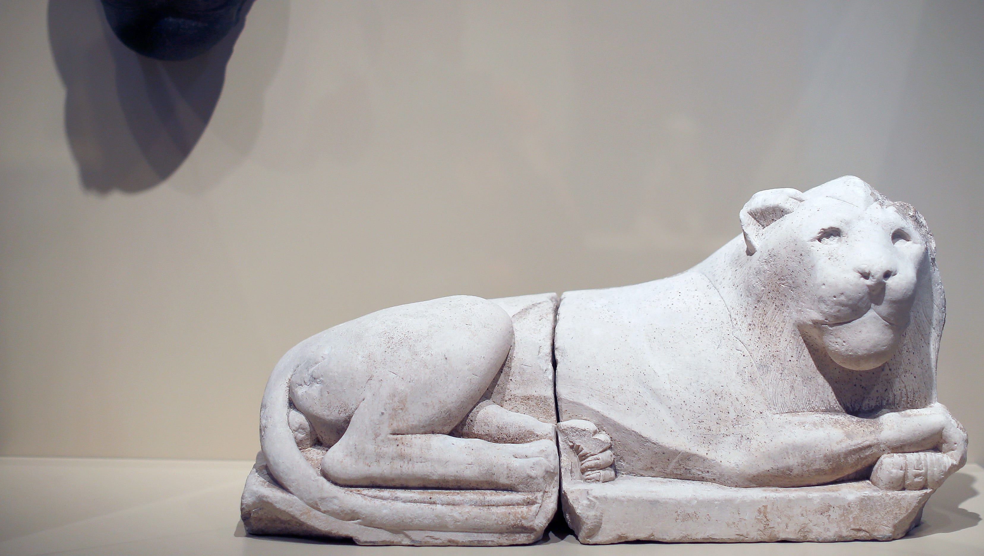 'Divine Felines' – and cat videos! – invade Cincinnati Art Museum