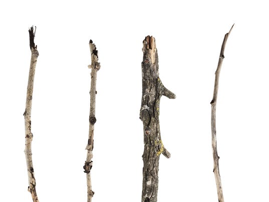 Yesterday = parenting, today = child abuse