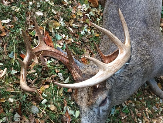 Illegally killed York-area buck likely trophy-class, officials say