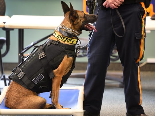 New bullet-proof vests given to Passaic County police dogs