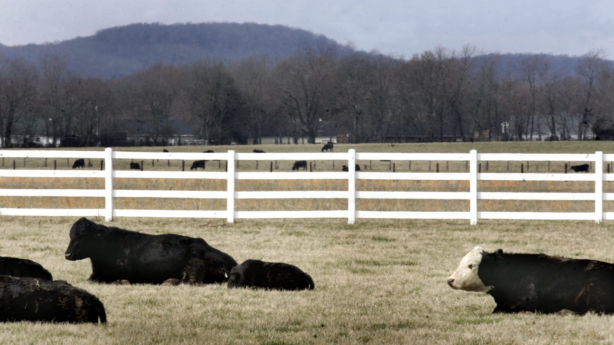 Burgess farm top pick for park