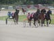 Harness Racing has big day at Crawford County Fair