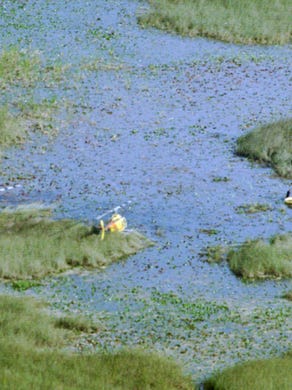 New $10,000 reward for fugitive in 1996 ValuJet crash