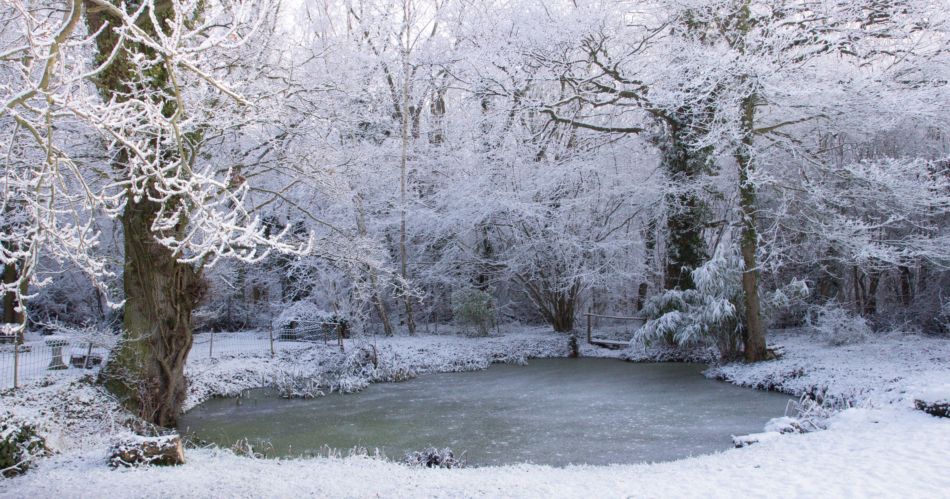 Marsi: In a frozen pond, lies life