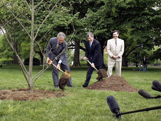 Extinction is worse than we think; chestnut trees are an example