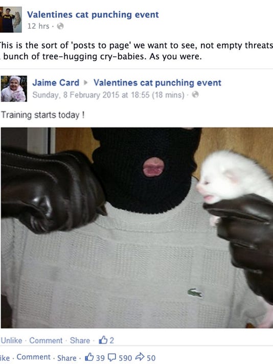 New 'cat punching' page appears on Facebook