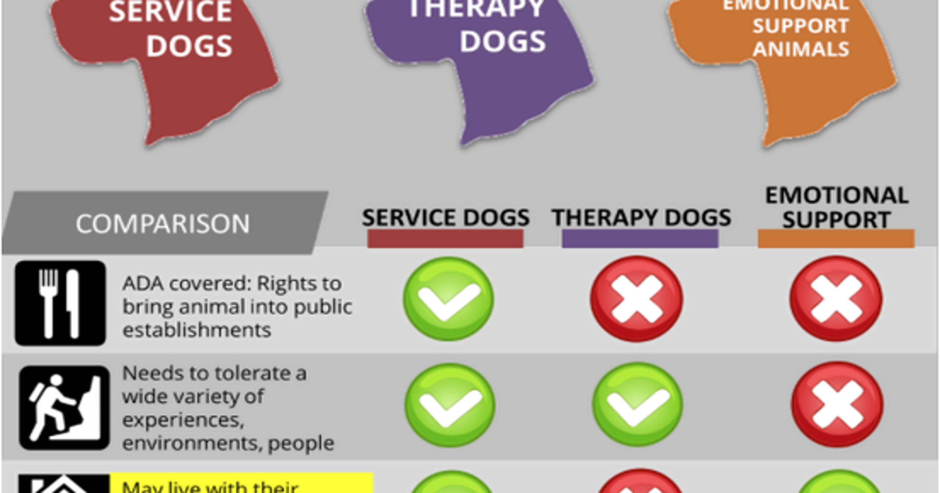 Therapy, service and emotional support dogs | Ask the Dog Trainer