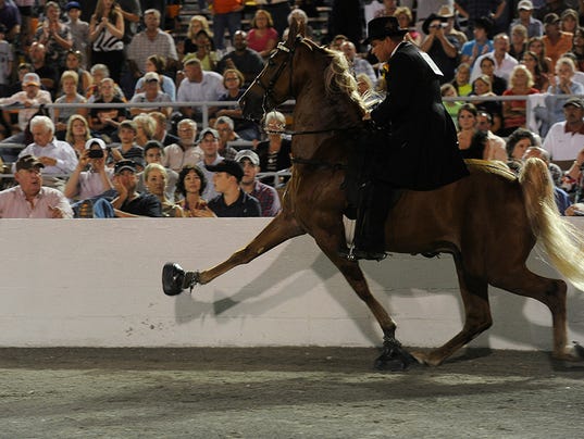 2 bills aim to rein in Tennessee walking horse abuse