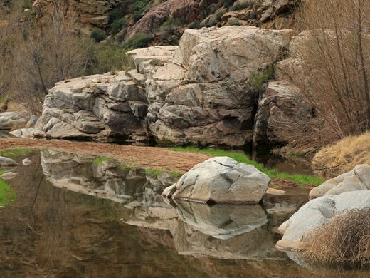 Agua Fria River creates Arizona desert oasis