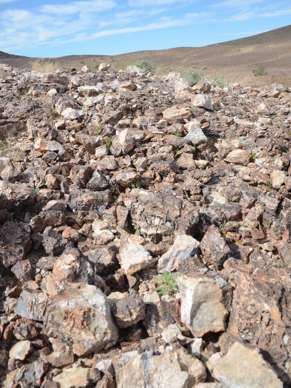 Learn how to rockhound at the Hauser Geode Beds