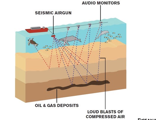 Trump administration approves seismic surveys for Atlantic drilling