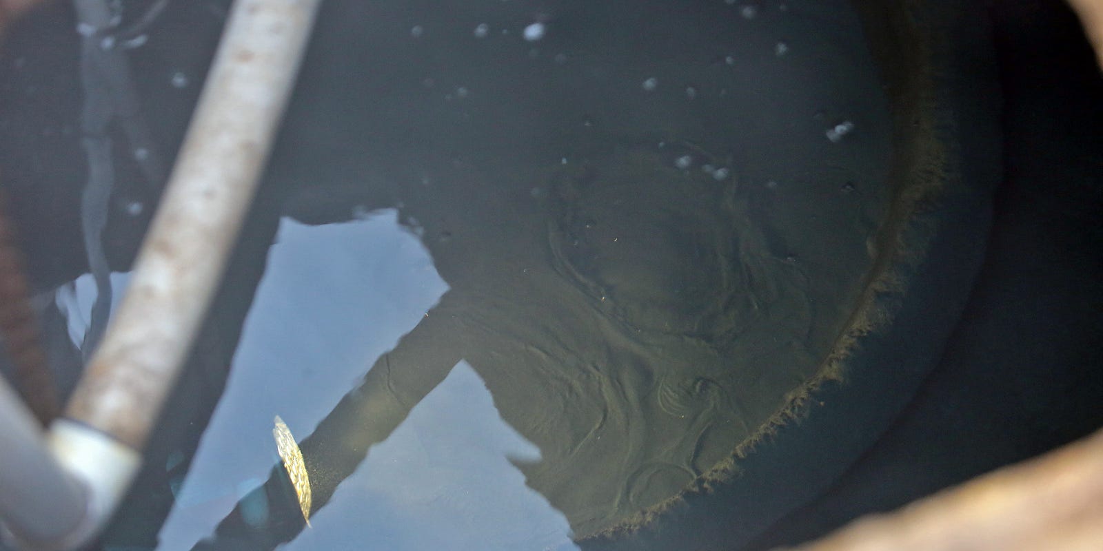 Agua Caliente spring still gushing