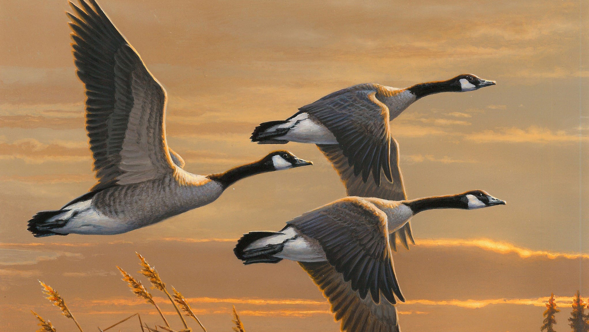 Federal Duck Stamp winner chosen