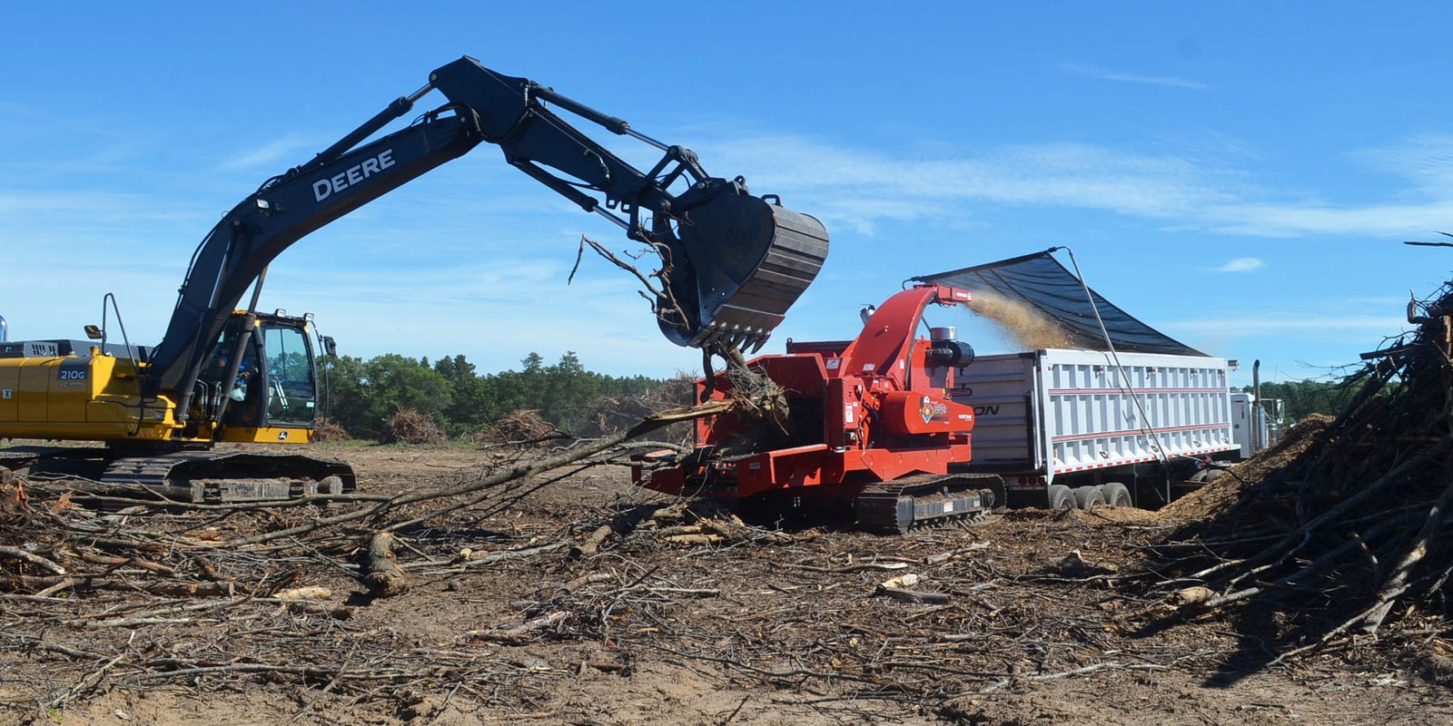 Land-clearing opens way for croplands