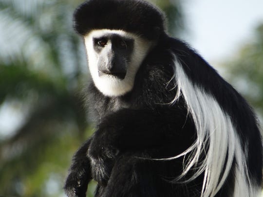 SWFL summer bucket list for families