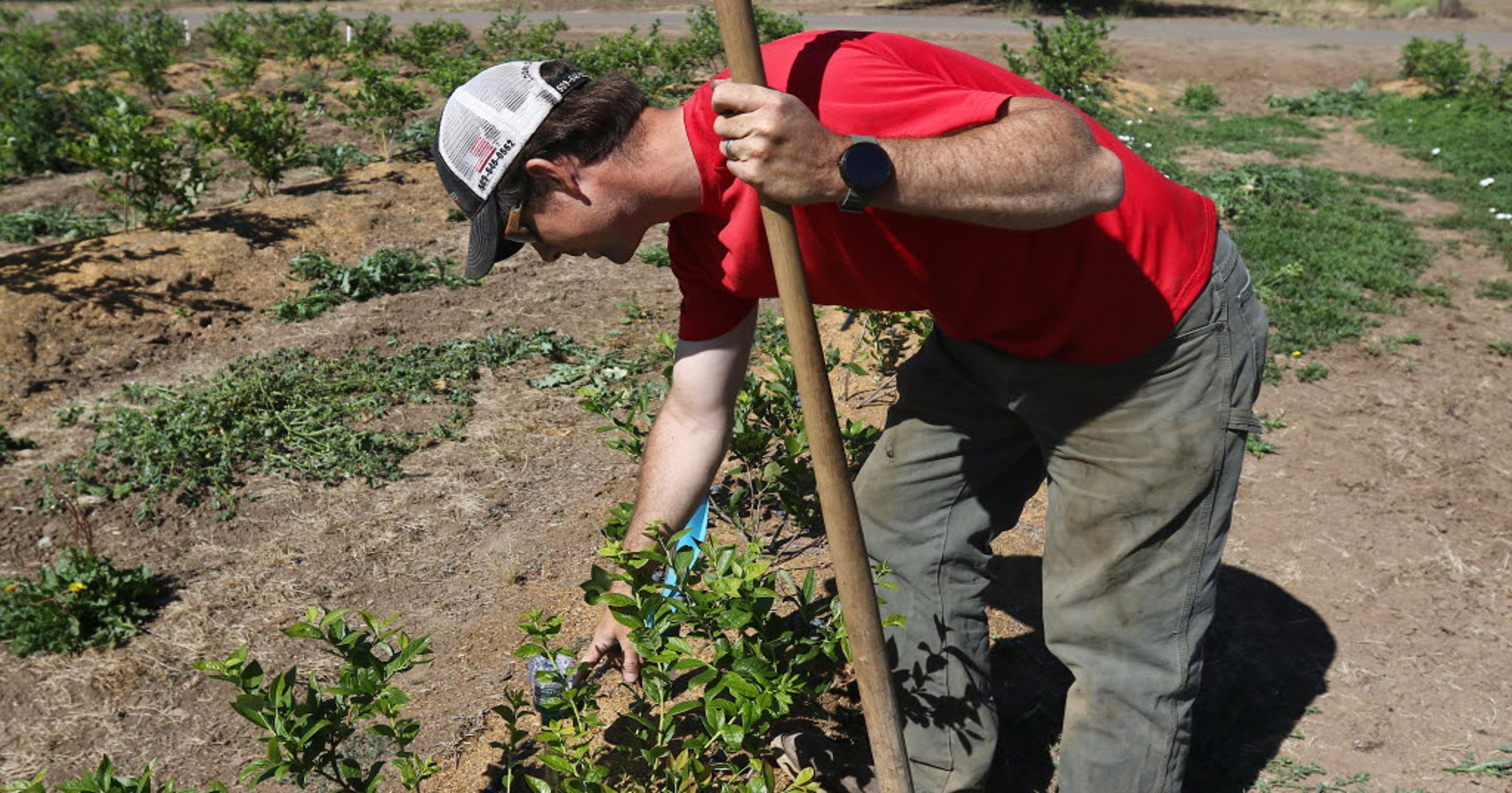 Drought emergency declared for more than half of Oregon counties